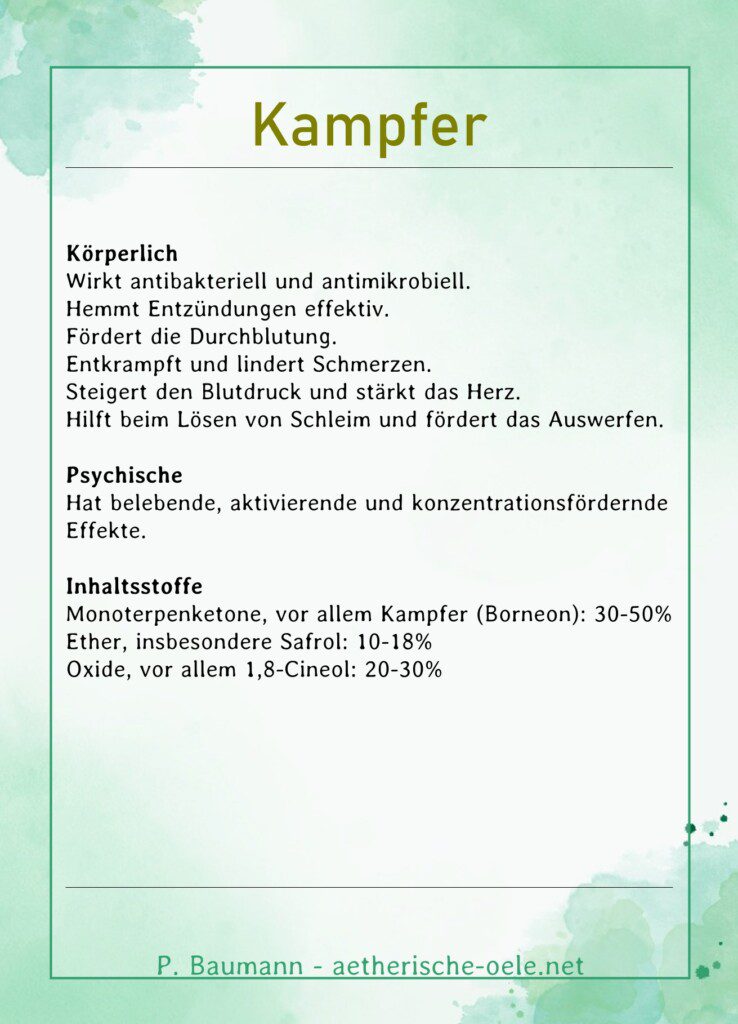 Kampfer (Cinnamomum camphora) - Aromatherapie - Aromapflege ...